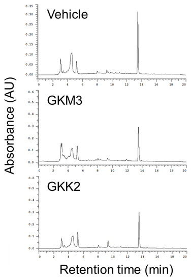 Fermented Supernatants of Lactobacillus plantarum GKM3 and ...