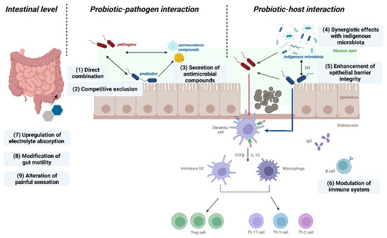 Postbiotics in Human Health: A Narrative Review