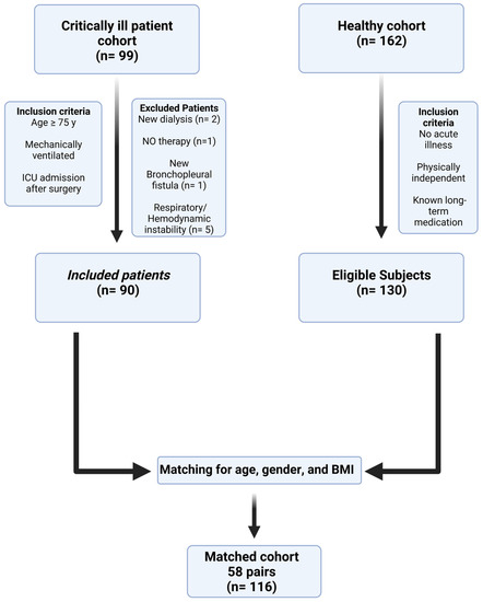 Resting Energy Expenditure in the Critically Ill and Healthy Elderly—A ...