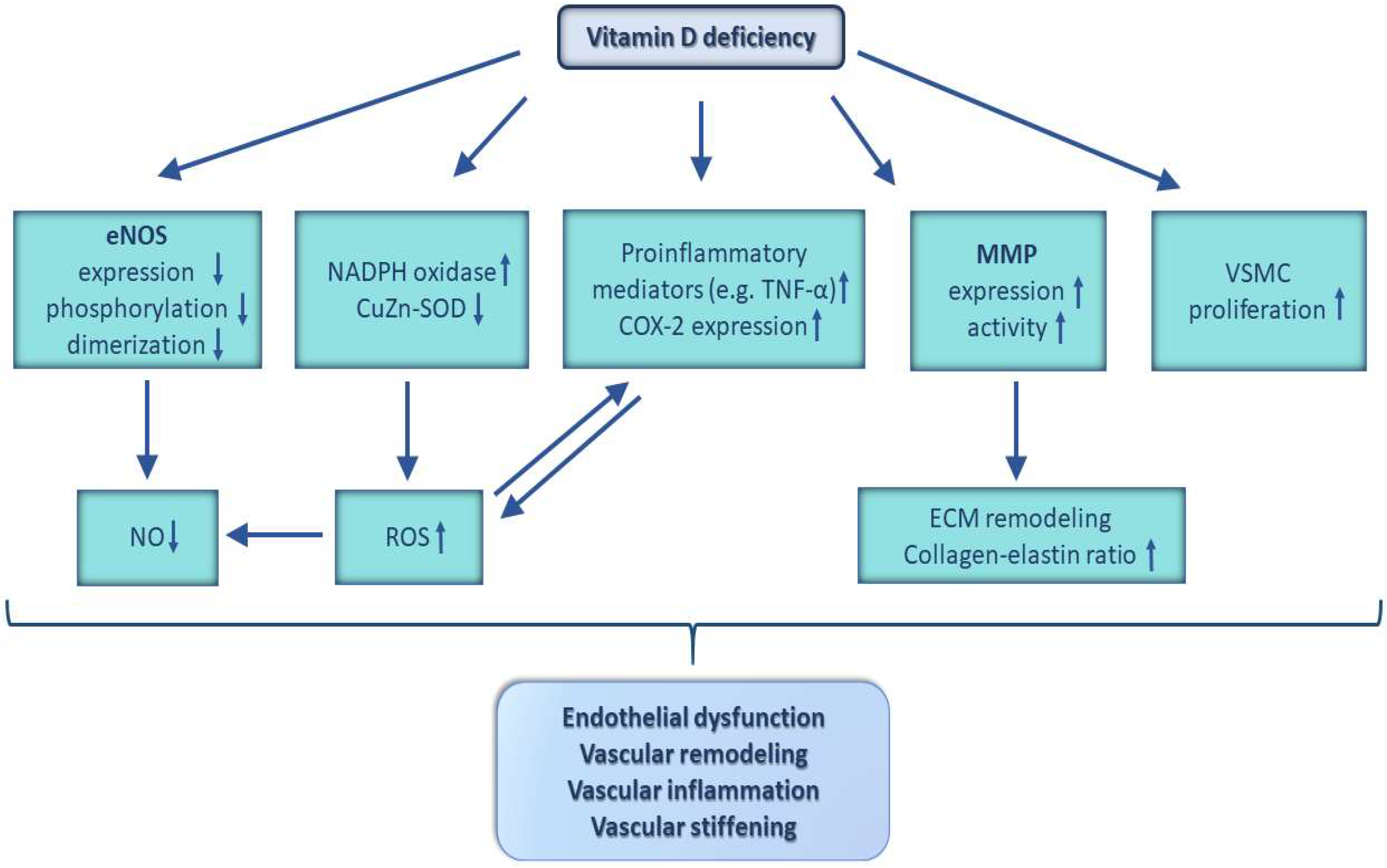 Nutrients Free Full Text Role Of Vitamin D Deficiency In The