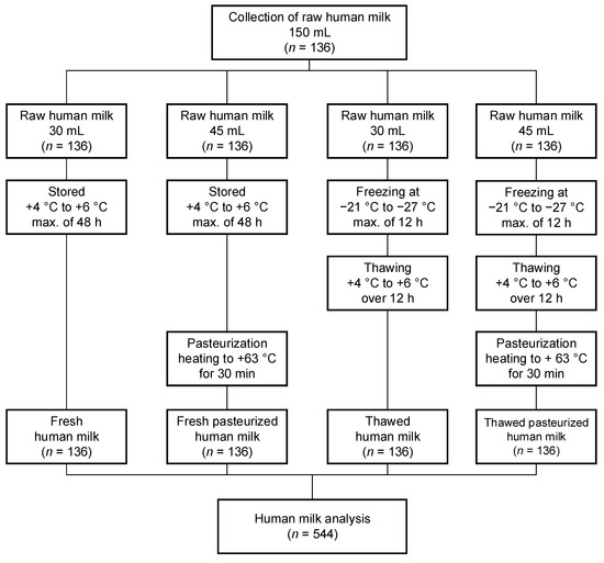 Human Milk Processing and Its Effect on Protein and Leptin Concentrations