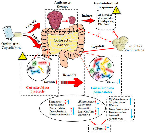 Postoperative Probiotics Administration Attenuates Gastrointestinal ...