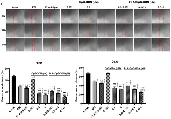Sea Cucumber Derived Triterpenoid Glycoside Frondoside A: A Potential ...