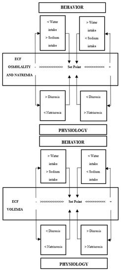 Sodium Homeostasis, a Balance Necessary for Life