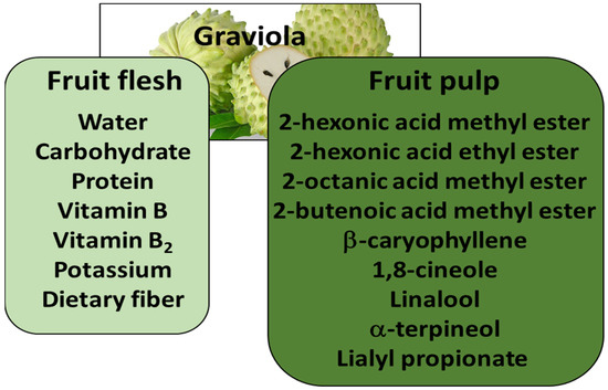 The Antioxidant Potential of Graviola and Its Potential Medicinal ...