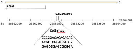 SLC6A4 DNA Methylation Levels and Serum Kynurenine/Tryptophan Ratio in ...
