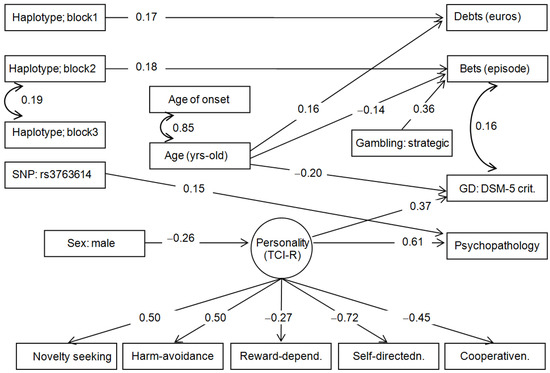 Underlying Mechanisms Involved in Gambling Disorder Severity: A Pathway ...
