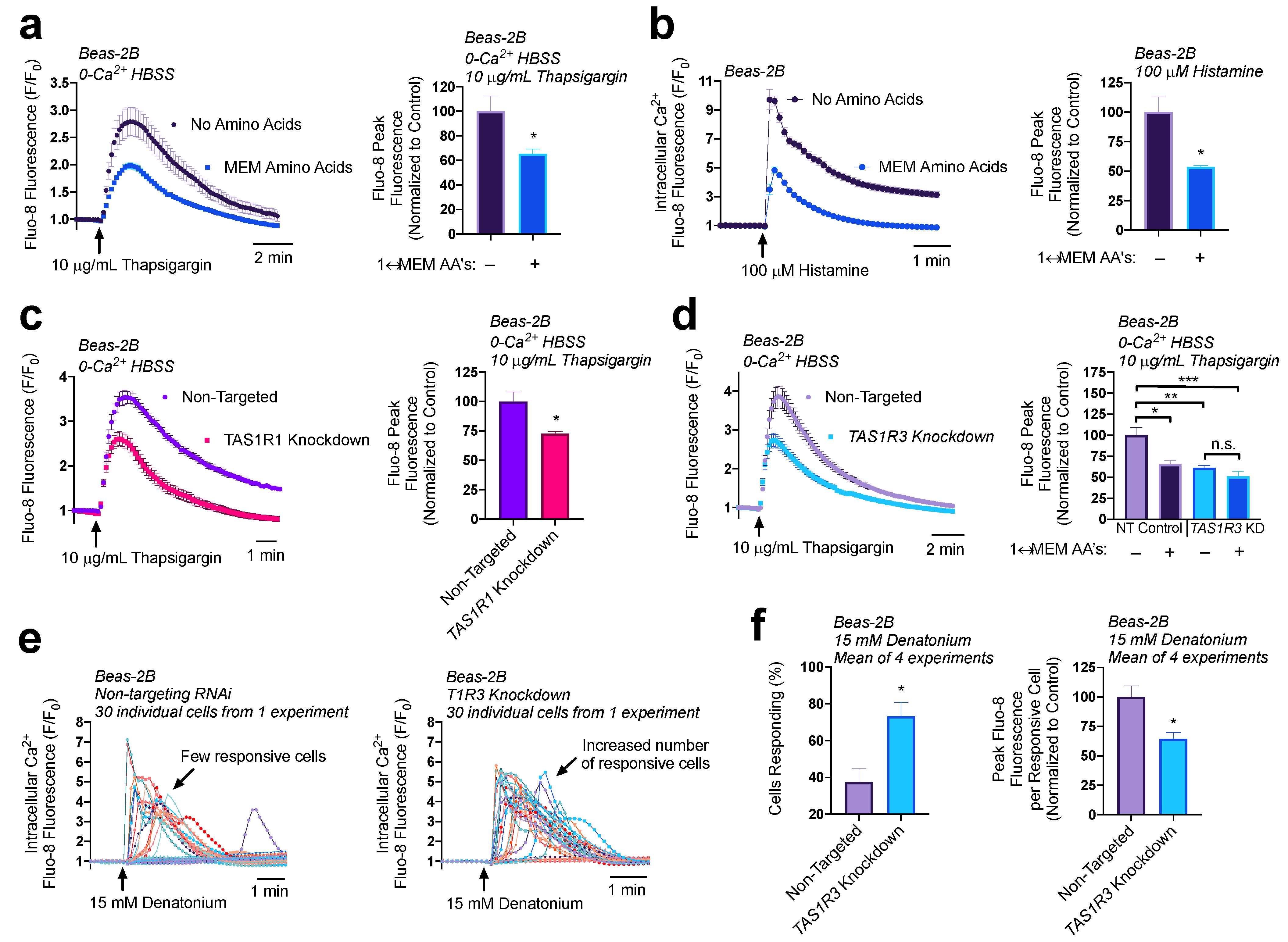 Savory Signaling: T1R Umami Receptor Modulates Endoplasmic Reticulum ...