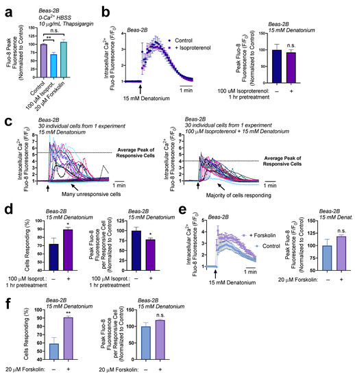 Savory Signaling: T1R Umami Receptor Modulates Endoplasmic Reticulum ...