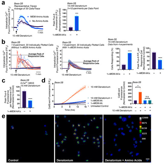 Savory Signaling: T1R Umami Receptor Modulates Endoplasmic Reticulum ...