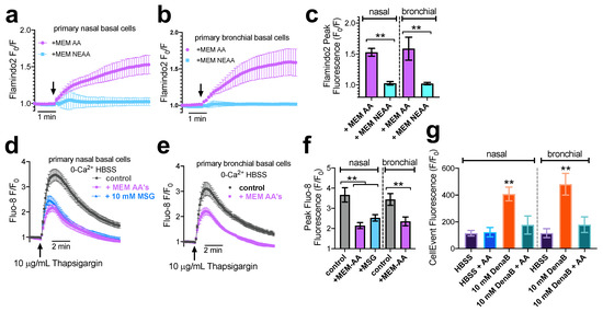 Savory Signaling: T1R Umami Receptor Modulates Endoplasmic Reticulum ...