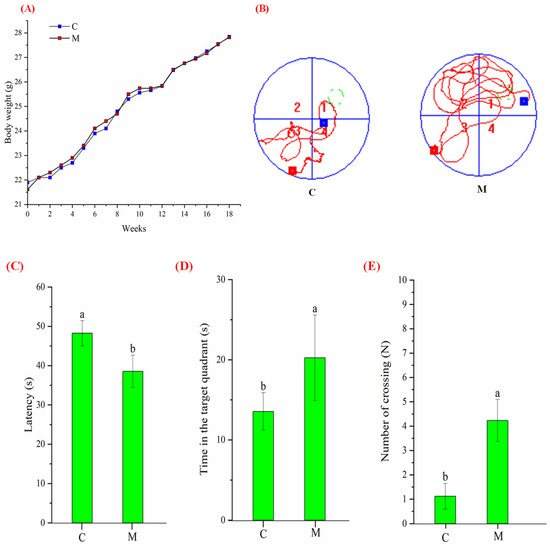 Improvement of Spatial Memory and Cognitive Function in Mice via the ...