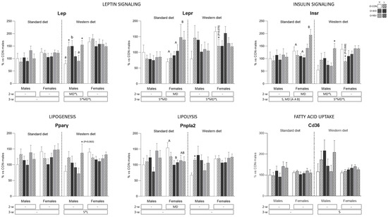 Influence of Maternal Metabolic Status and Diet during the Perinatal ...