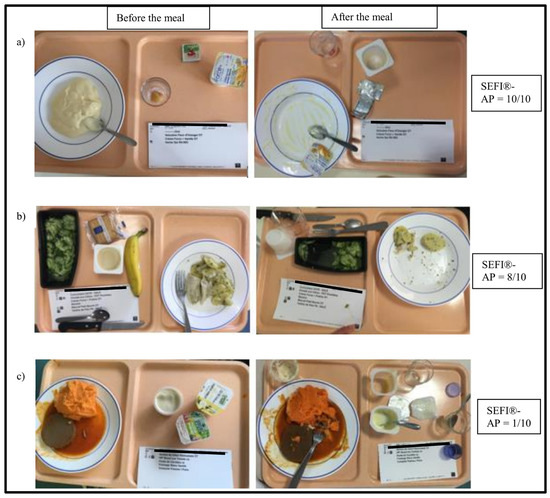 Nutrients | Free Full-Text | Assessment of Food Intake Assisted by Photography in Older People ...