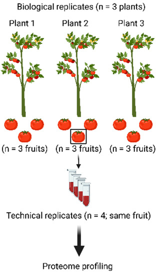 Getting Ready for Large-Scale Proteomics in Crop Plants