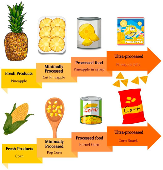 Impacts of a Multi-Professional Family versus Isolated Intervention on ...
