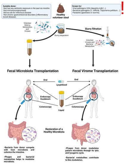 The Human Gut Virome and Its Relationship with Nontransmissible Chronic ...