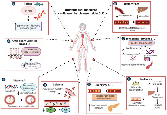 Nutritional Approaches to Modulate Cardiovascular Disease Risk in ...
