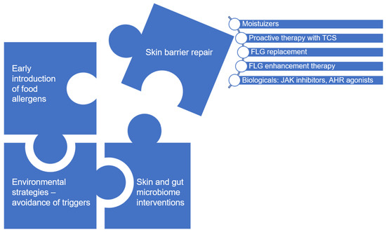 Epicutaneous Sensitization and Food Allergy: Preventive Strategies ...