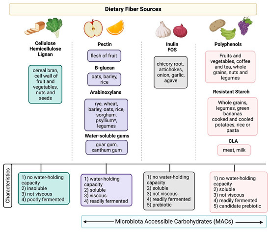 To Fiber or Not to Fiber: The Swinging Pendulum of Fiber ...