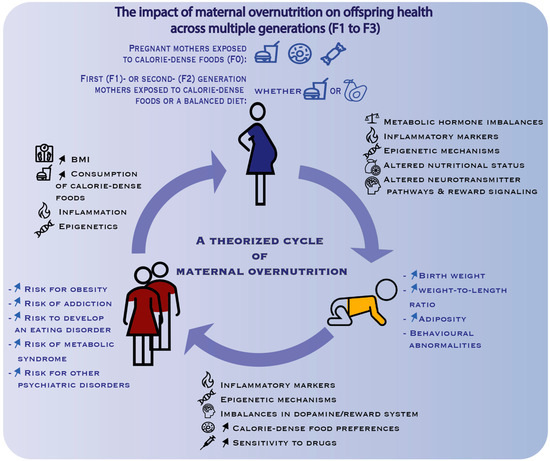 Maternal Over- and Malnutrition and Increased Risk for Addictive and ...
