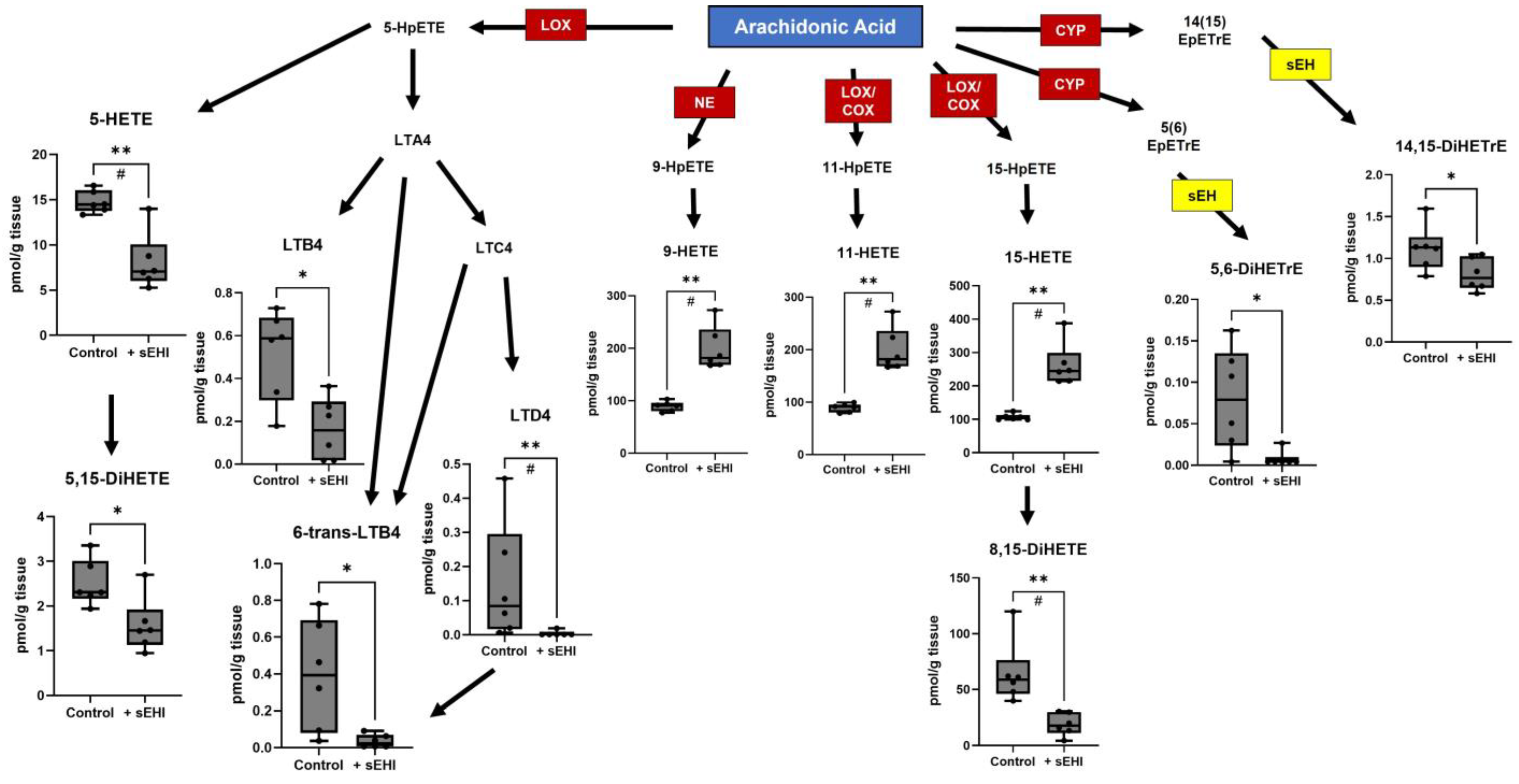 Nutrients Free Full Text Sex Specific Response Of The Brain Free