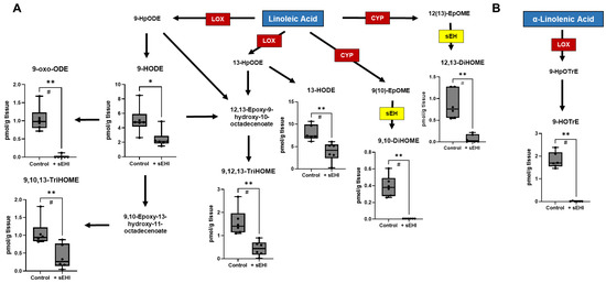 Nutrients Free Full Text Sex Specific Response Of The Brain Free
