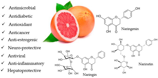 Citrus × paradisi L. Fruit Waste: The Impact of Eco-Friendly Extraction ...