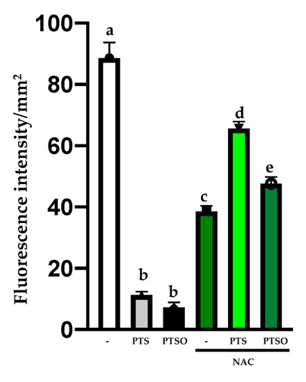 In Vitro Antitumor and Anti-Inflammatory Activities of Allium-Derived ...