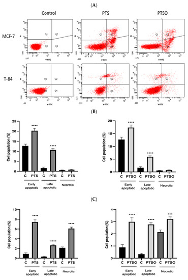 In Vitro Antitumor and Anti-Inflammatory Activities of Allium-Derived ...