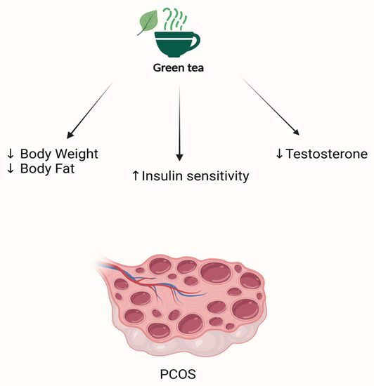 Green Tea and Benign Gynecologic Disorders: A New Trick for An Old ...