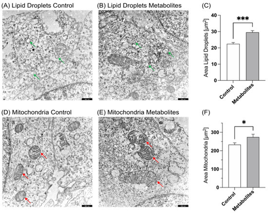 Aspartame and Its Metabolites Cause Oxidative Stress and Mitochondrial ...
