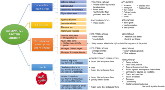 Alternative Protein Sources and Novel Foods: Benefits, Food ...