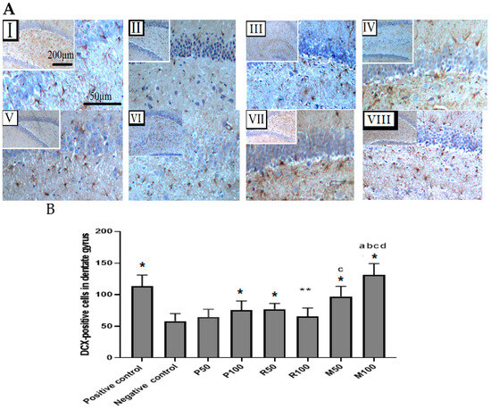 Nutrients | Free Full-Text | Rosmarinus officinalis and Mentha piperita ...