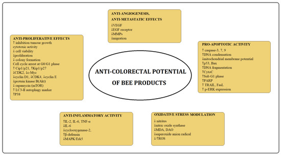 Bee Products and Colorectal Cancer—Active Components and Mechanism of ...
