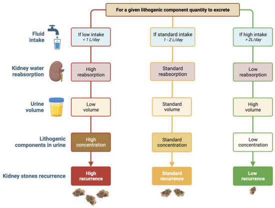 How to Monitor Hydration Status and Urine Dilution in Patients with ...