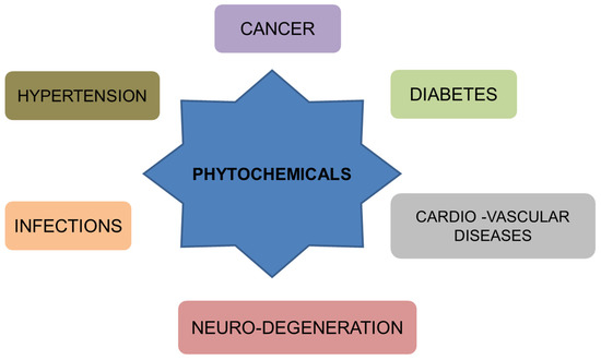 Insight into the Biological Roles and Mechanisms of Phytochemicals in ...