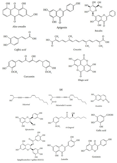Nutrients Free Full Text Insight Into The Biological Roles And