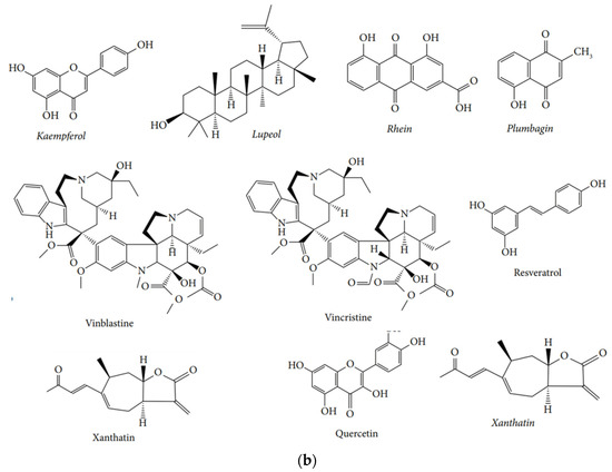 Nutrients Free Full Text Insight Into The Biological Roles And