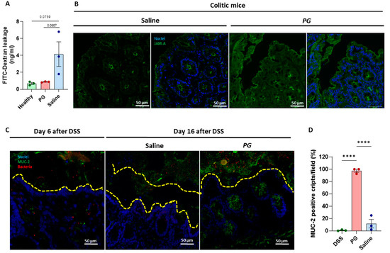 Pomegranate Extract Affects Gut Biofilm Forming Bacteria and Promotes ...