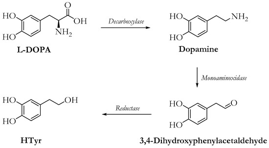 Hydroxytyrosol Interference with Inflammaging via Modulation of ...