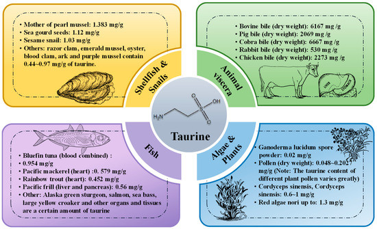 Taurine: A Source and Application for the Relief of Visual Fatigue
