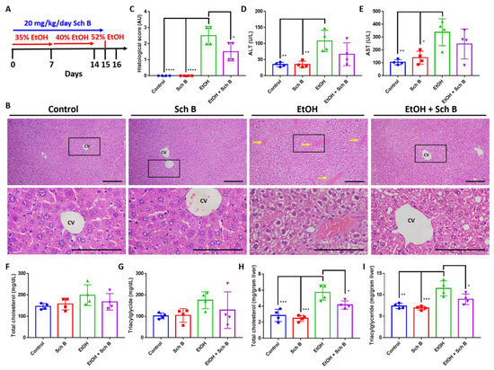 Prevention of the Pro-Aggressive Effects of Ethanol-Intoxicated Mice by ...