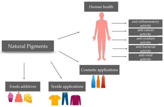 Natural Pigments Production and Their Application in Food, Health and ...