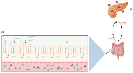 Nutrition in Acute Pancreatitis: From the Old Paradigm to the New Evidence