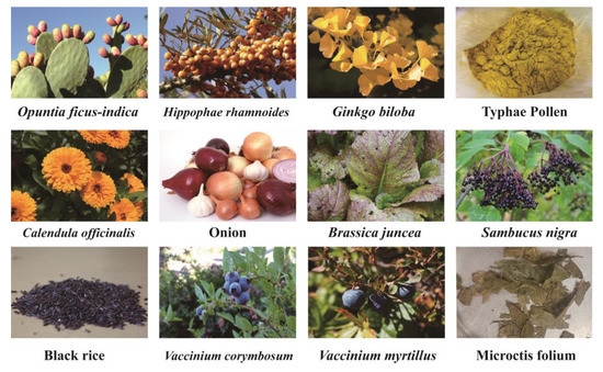 Structures, Sources, Identification/Quantification Methods, Health ...