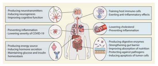Interplay between Phytochemicals and the Colonic Microbiota