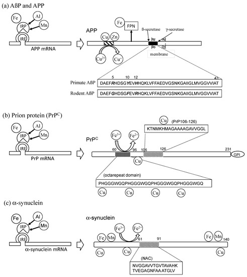 Dietary Trace Elements and the Pathogenesis of Neurodegenerative Diseases
