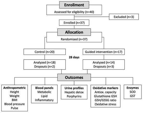 Guided Metabolic Detoxification Program Supports Phase II ...