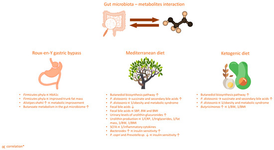 Obesity, Gut Microbiota, and Metabolome: From Pathophysiology to ...